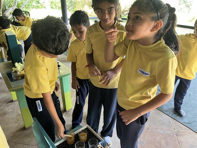 ::School Riverside::